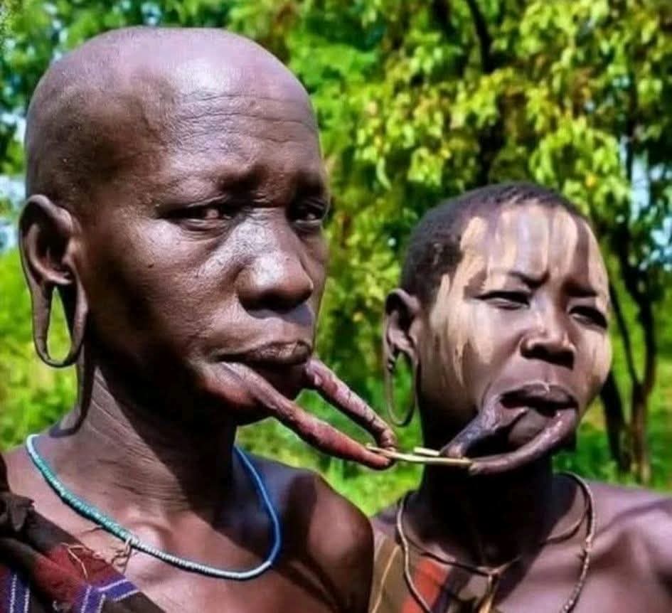 Exploring the Lip Plate Tradition of Ethiopia’s Mursi Tribe: A Symbol ...